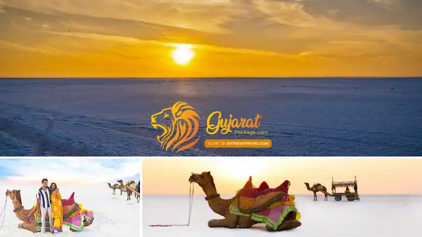 How Many Days Are Required to Visit Rann of Kutch? (Complete Travel ...